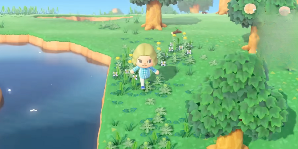 Exploring the World of Animal Crossing: New Horizons - Nook's Cranny ...