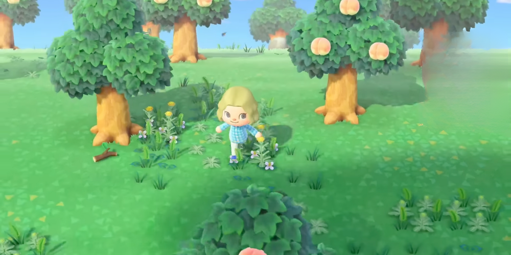 Exploring the World of Animal Crossing: New Horizons - Nook's Cranny ...